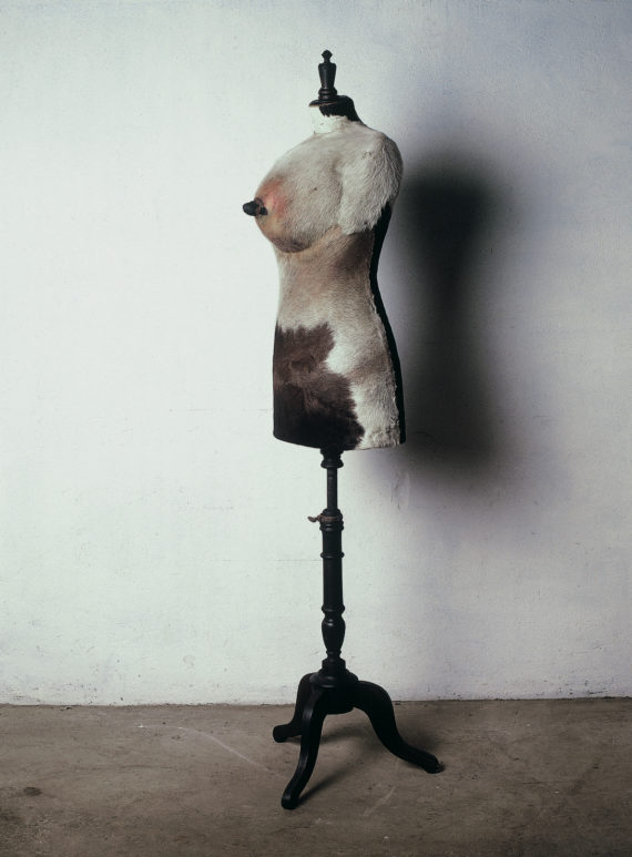 40 Years 40 Artists: Dorothy Cross « a-n The Artists Information Company