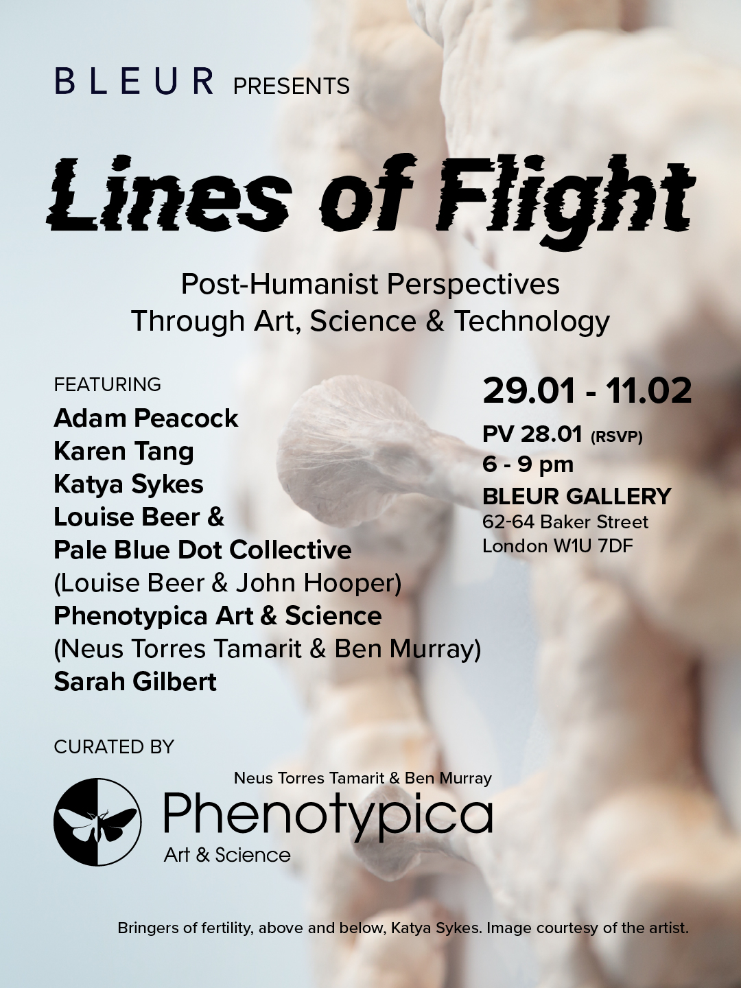 Lines of Flight - a-n The Artists Information Company